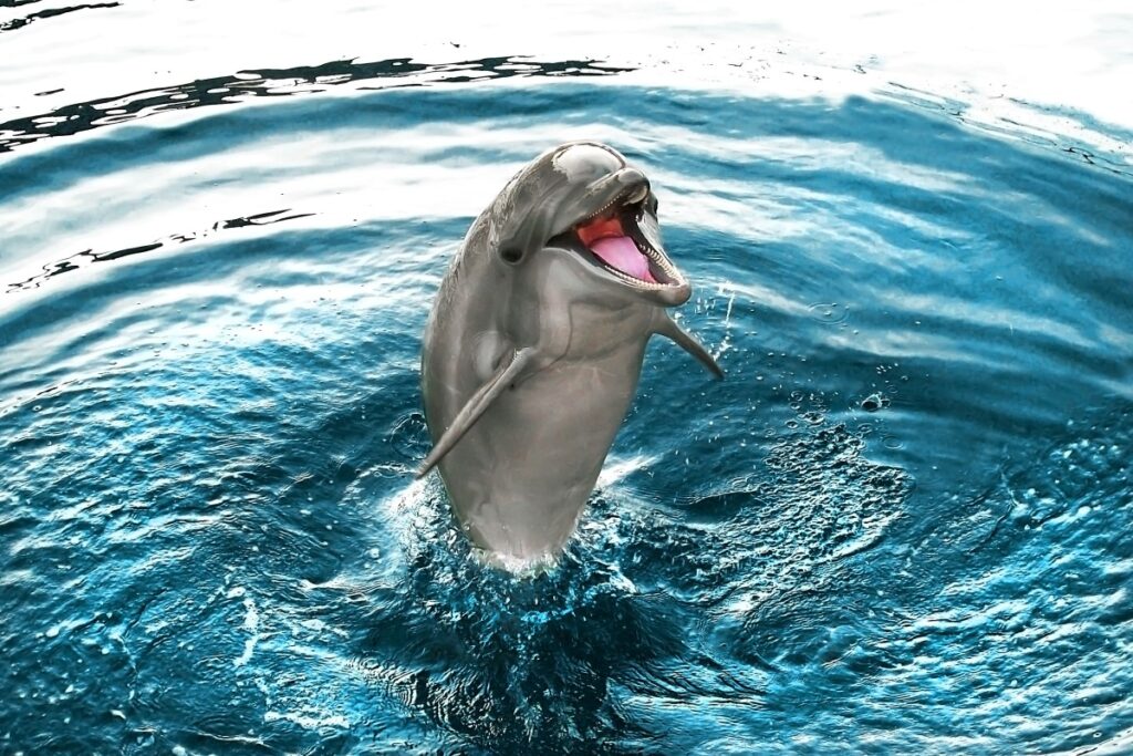 12 Funny Swimming Puns - AquaMobile Swim School